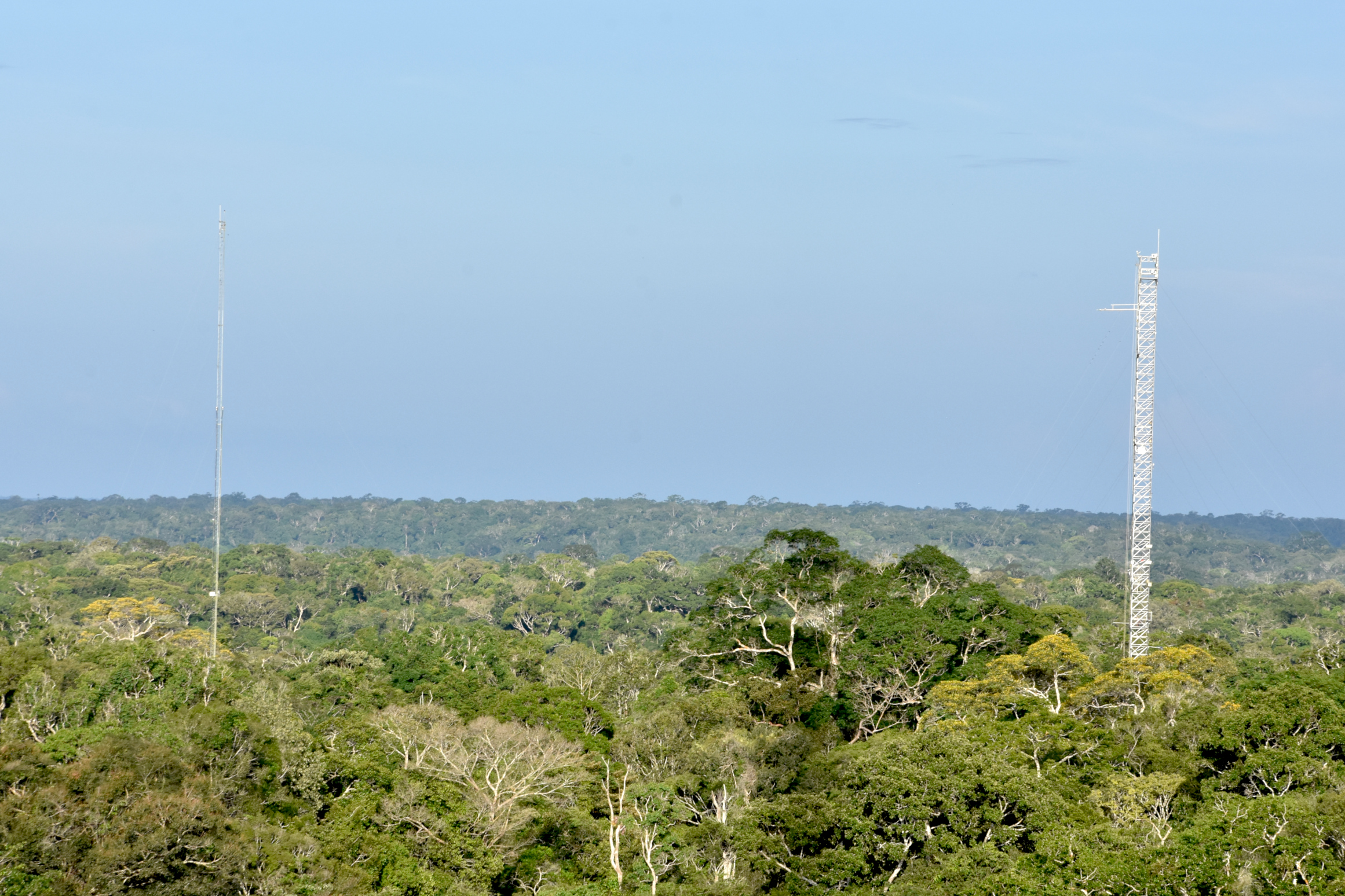 Gallery | ATTO - Amazon Tall Tower Observatory