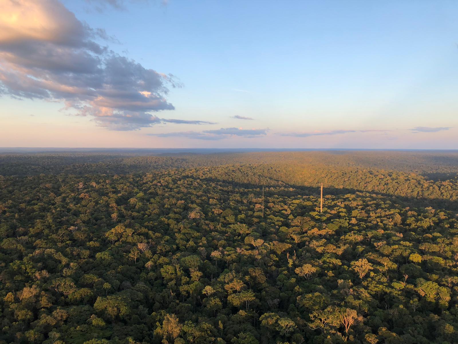 Zweiter Newsletter - ATTO - Amazon Tall Tower Observatory