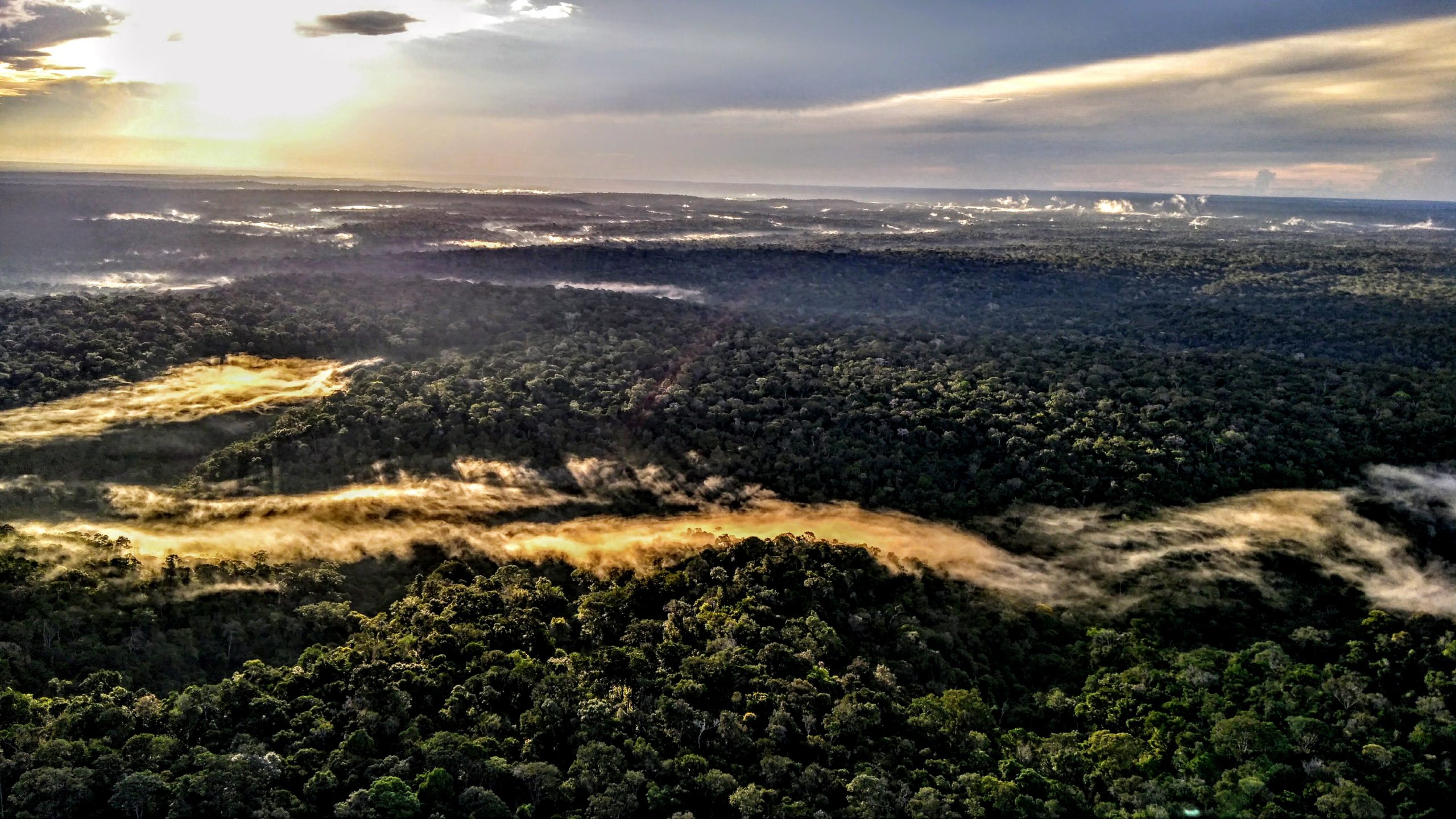 Newsletter #3 - ATTO - Amazon Tall Tower Observatory