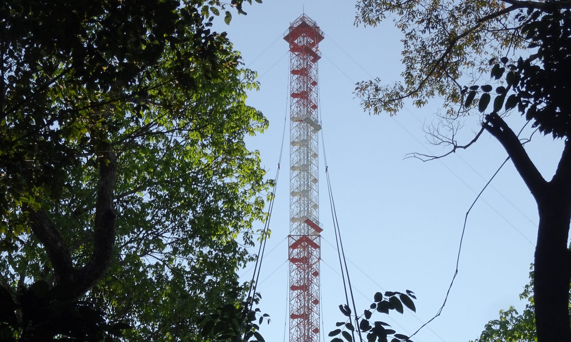 A message for our Brazilian colleagues and friends - ATTO - Amazon Tall ...