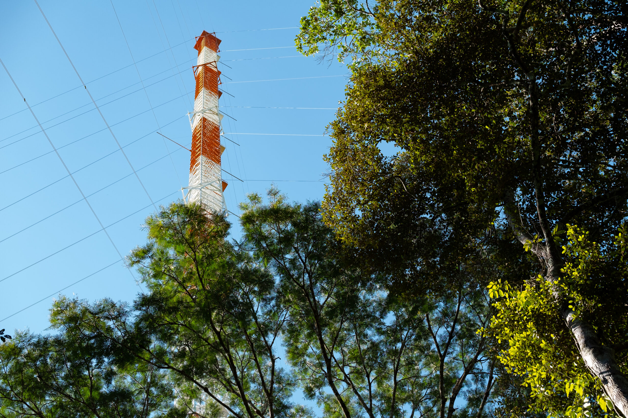 Newsletter: September 2020 - ATTO - Amazon Tall Tower Observatory