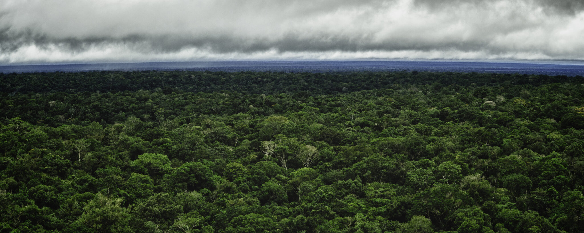 A friagem na Amazônia - ATTO - Amazon Tall Tower Observatory